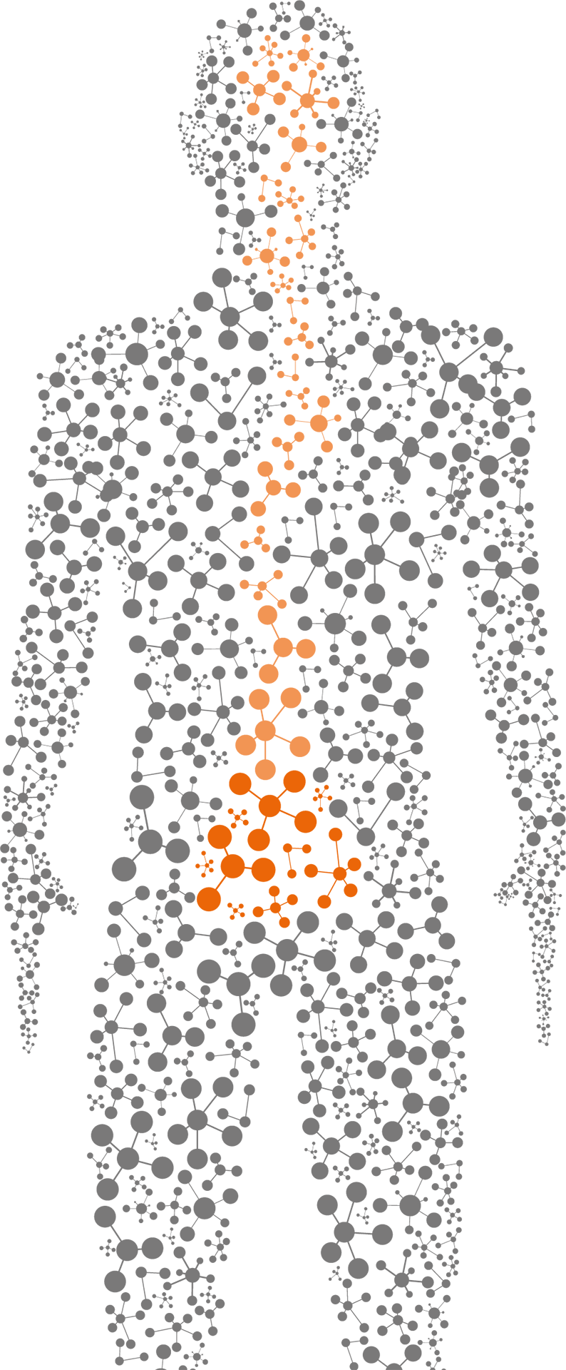 BODY&FUTURE Laboratories - Home